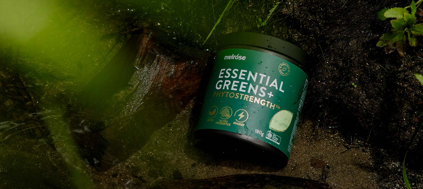 Greens and Superfood Powders: Benefits and How They Work – Melrose Health